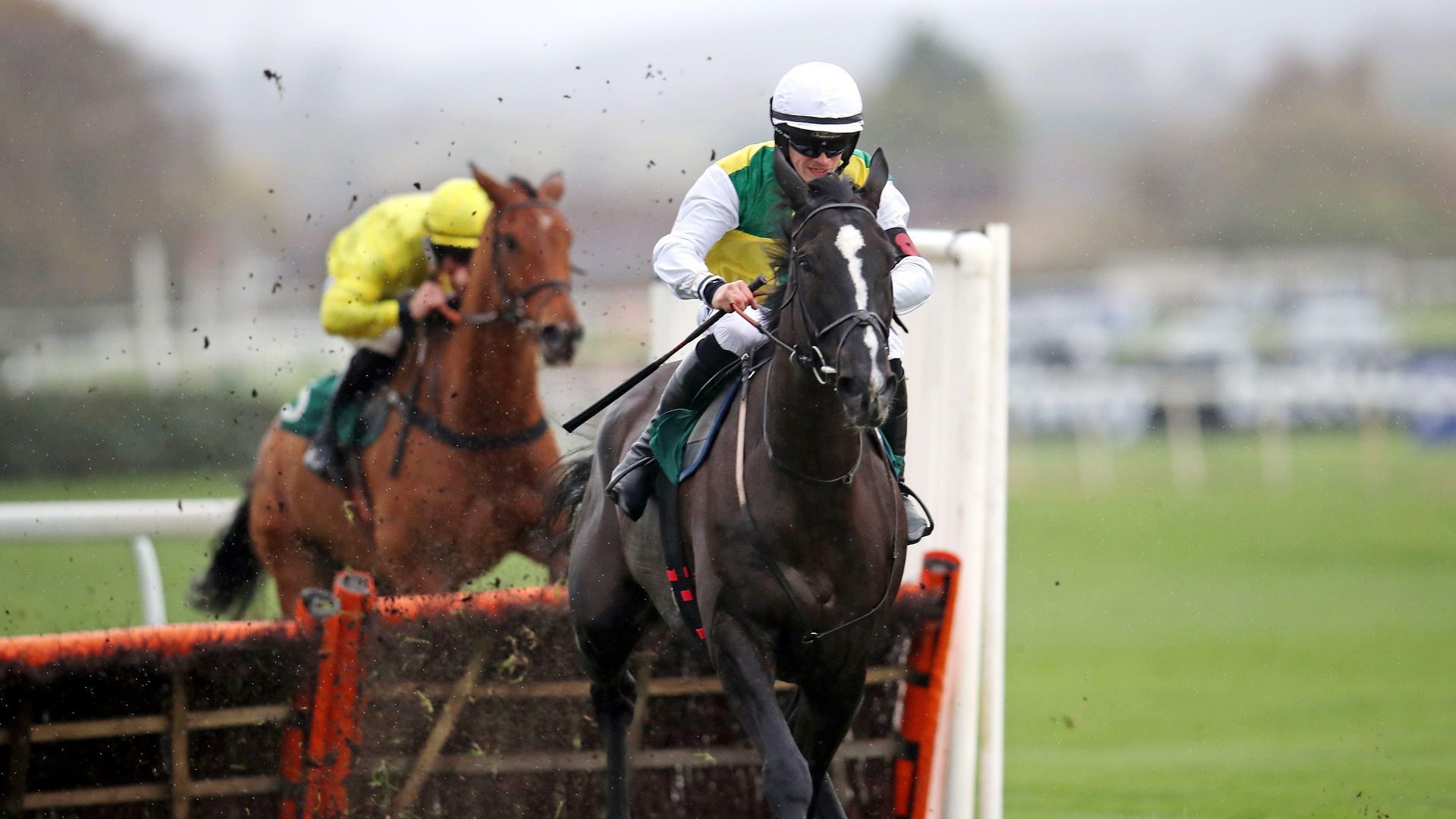 LiveScore Racing News: Daly keeping options open for 'Rodney' | LiveScore