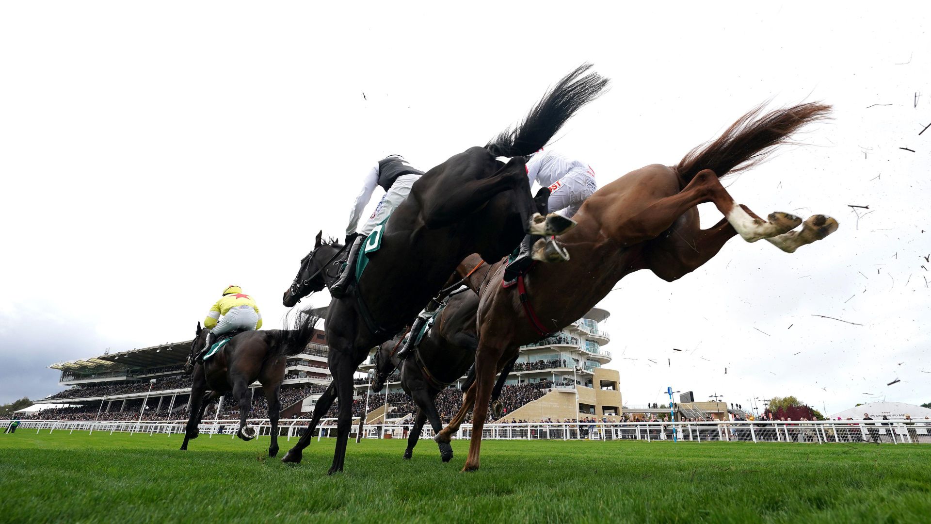 Cheltenham Racing Preview, November 13, 2021 | LiveScore