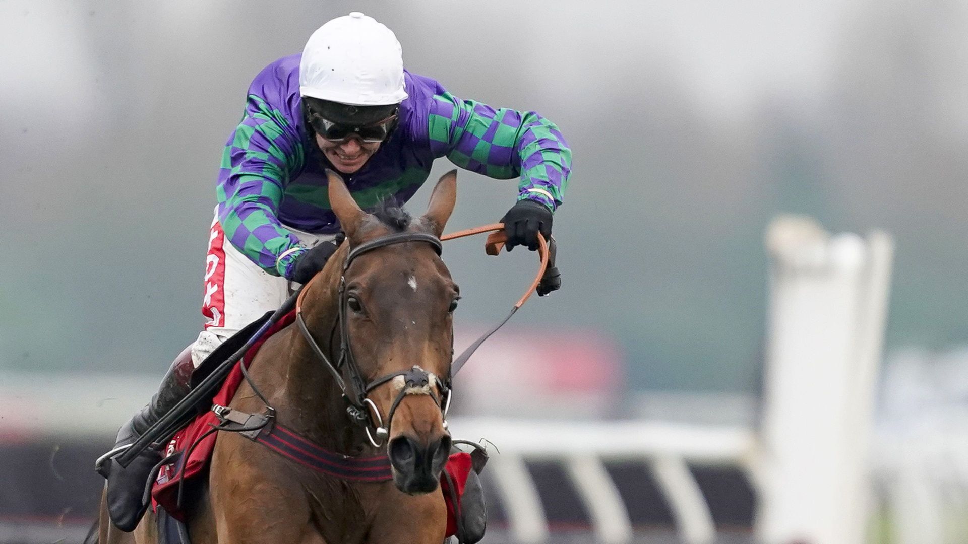 LiveScore Racing Preview: Ascot, December 18, 2021 | LiveScore LiveScore Racing Preview: Ascot, December 18, 2021 | LiveScore